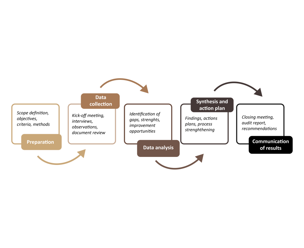 Internal audit: definition, objectives and steps | Efor